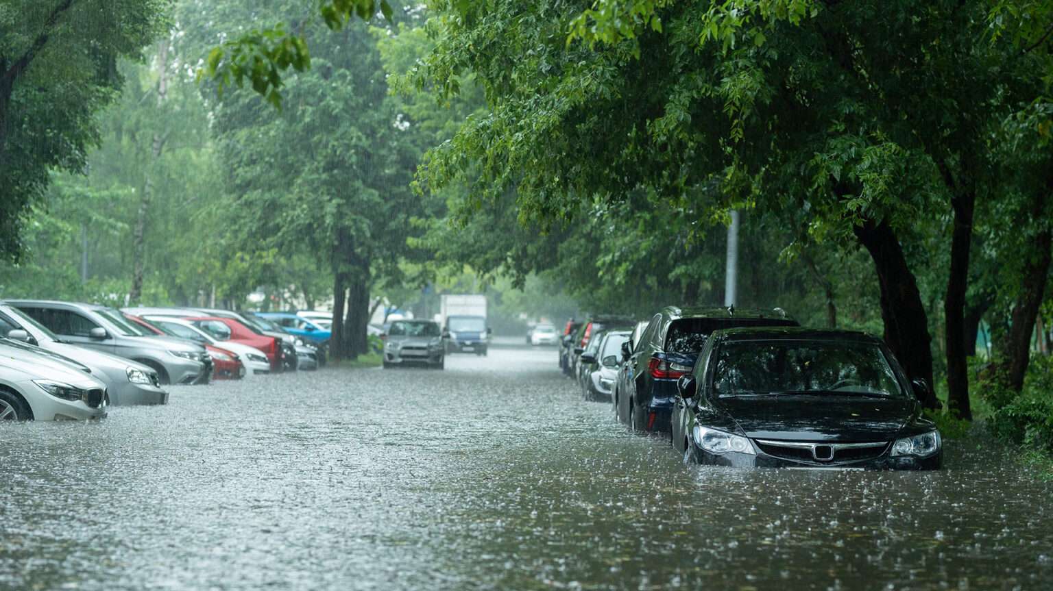 Flooding- Understanding, preparing and mitigating risk and damage